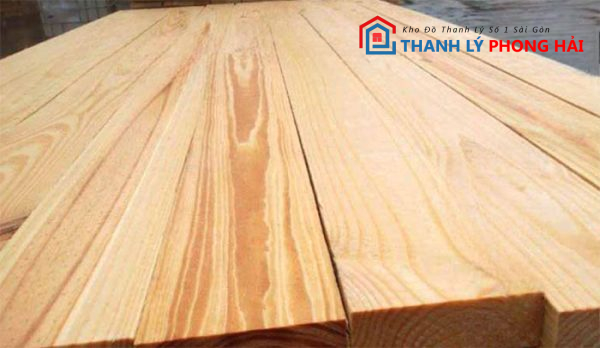 Gỗ Bạch Đàn Là Gì? Có Tốt Không? Đặc Điểm Nhận Biết - Thanh Lý Phong Hải
